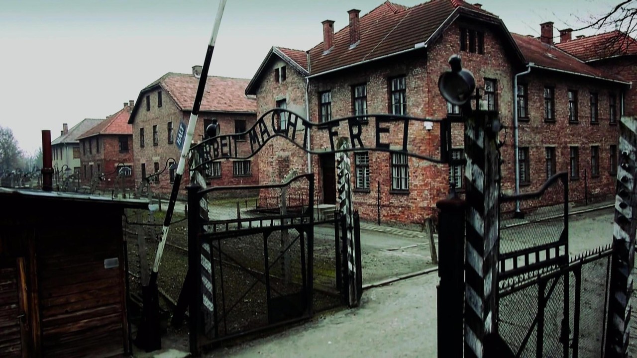 Una "Giornata della memoria" anche per i criminali nazisti ancora in ...